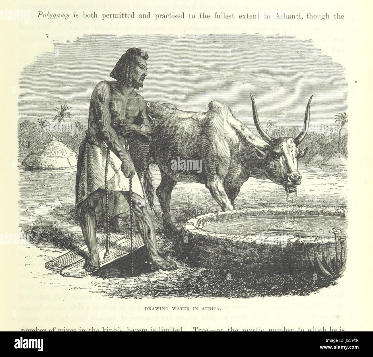 This work discusses copies of the world map from the Borgia Museum, a ...