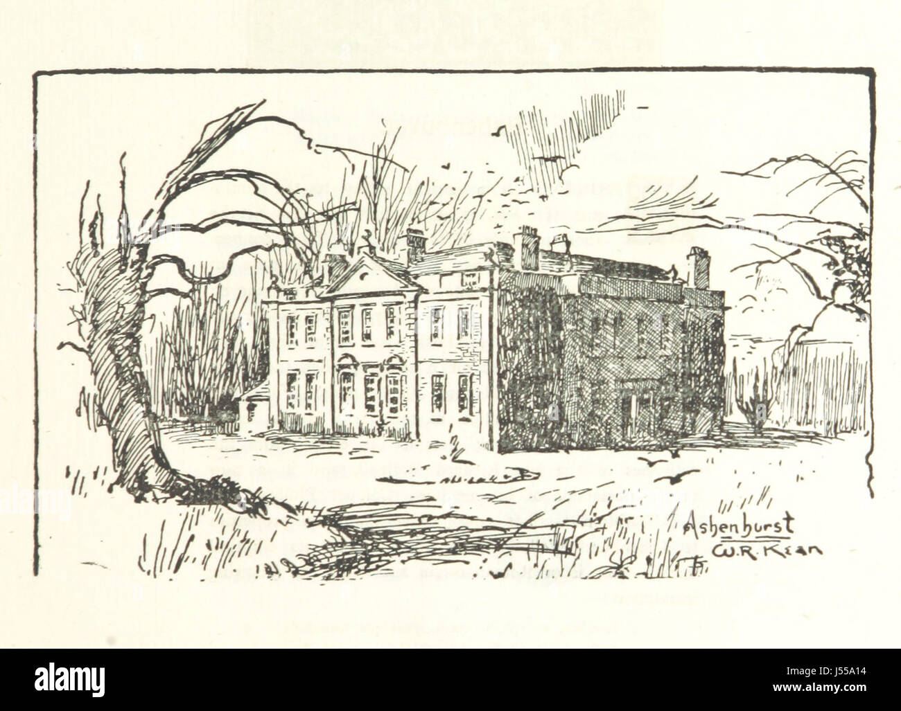 Olde Leeke: historical, biographical, anecdotal, and archæological ...
