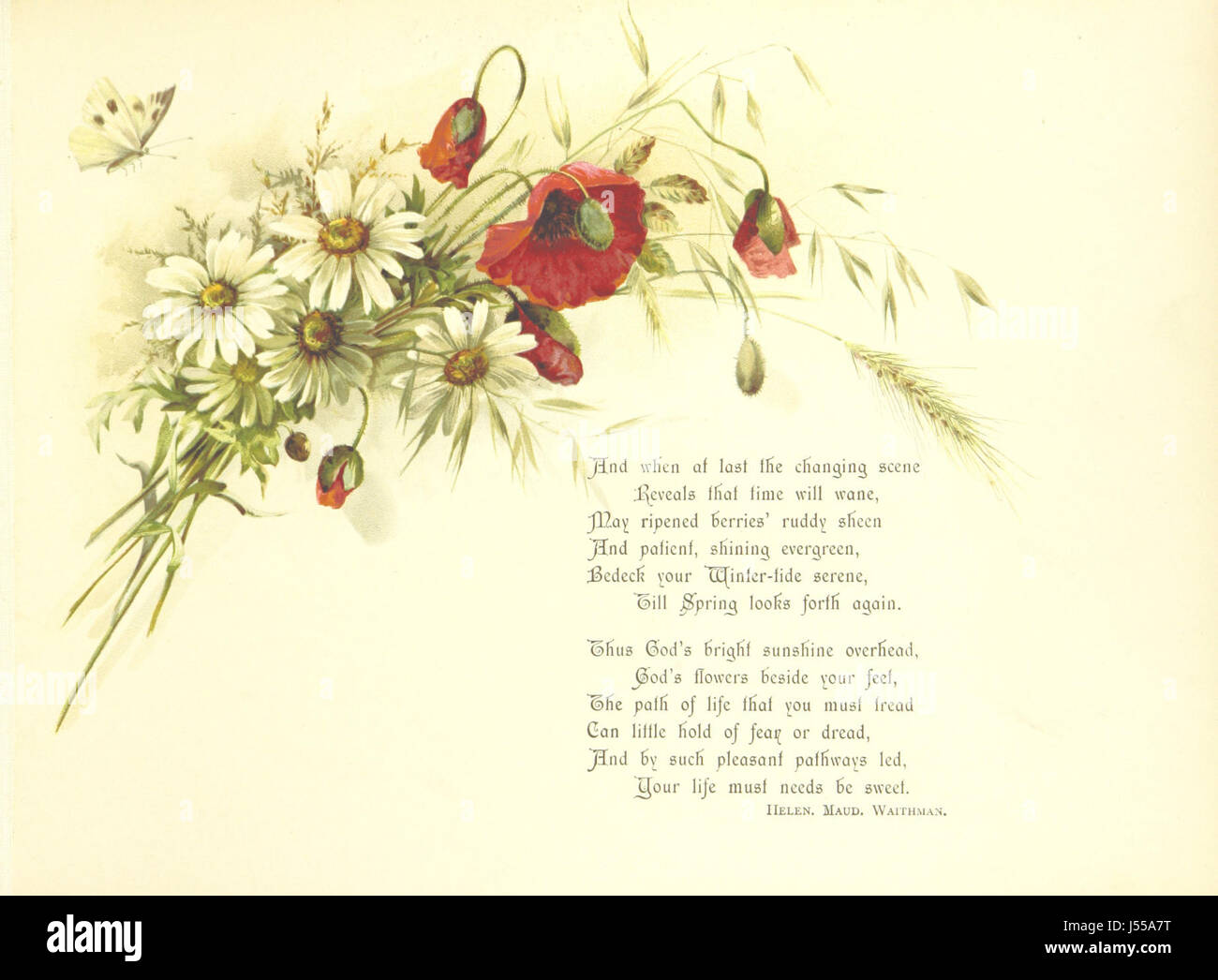 This album, titled 'A Pathway of Flowers,' features autographs and ...