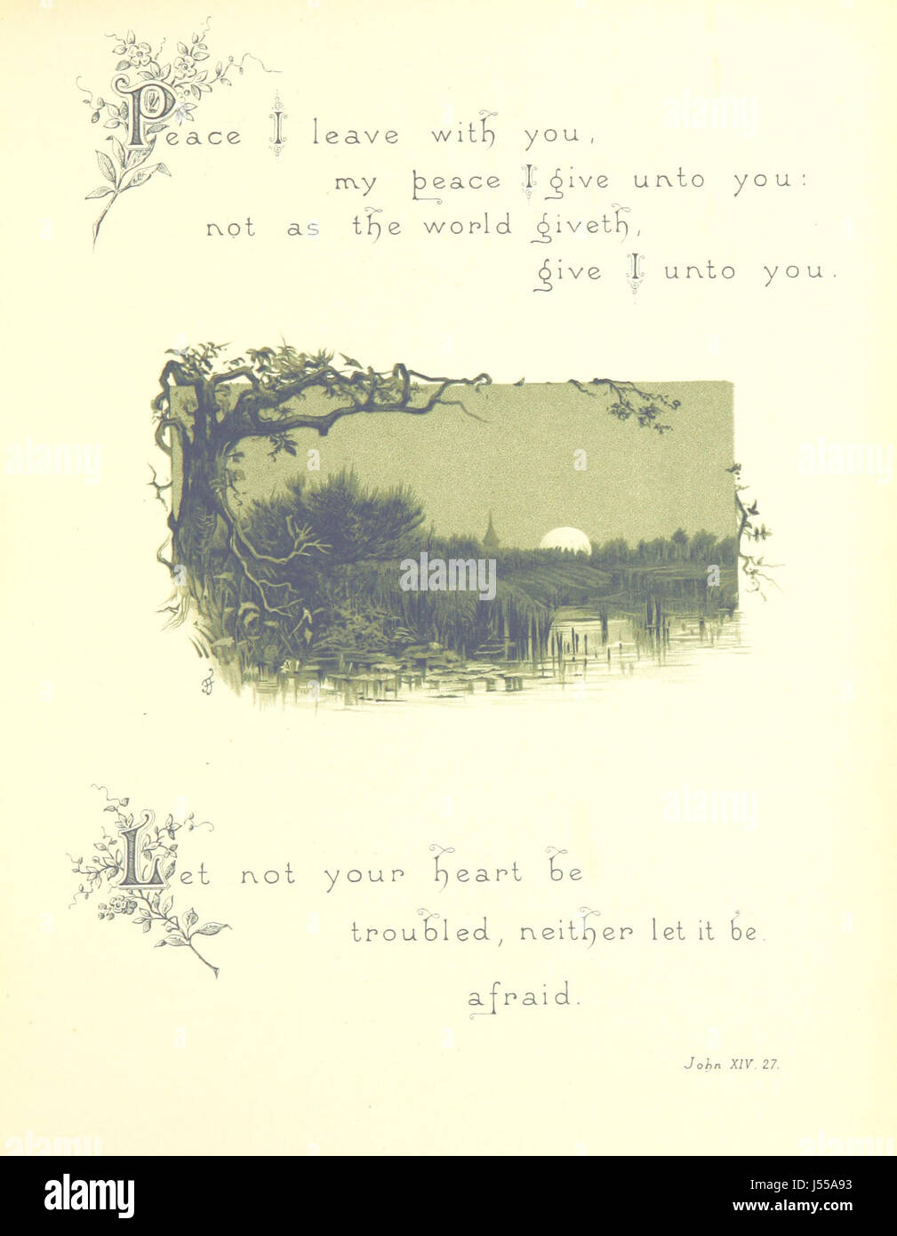 A collection of poems by A. F. Purdon, H. M. Warner, and others ...