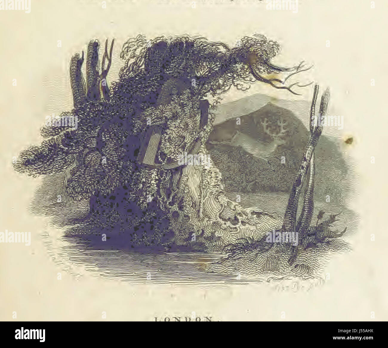 *The Lady of the Lake*, in its fifth edition, is a narrative poem ...