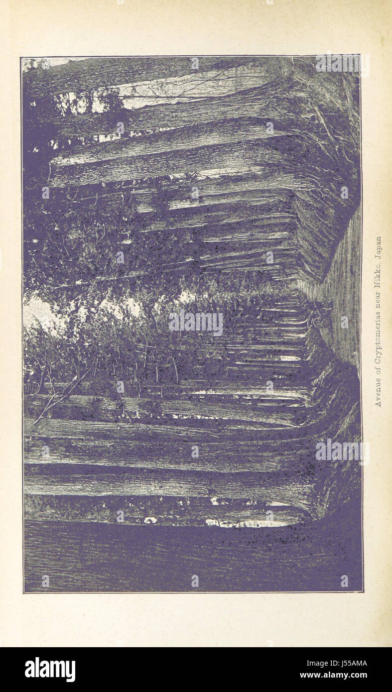 This travel narrative recounts the author's journey around the world ...