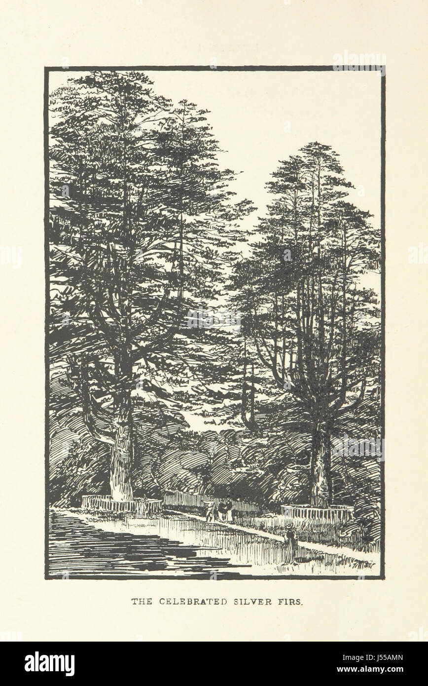 'Rosneath Past and Present' provides a historical overview of the town ...