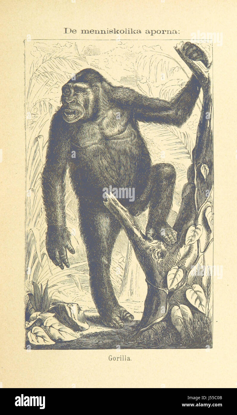 'Menniskan' is a Swedish text, translated as 'The Human Being,' with ...