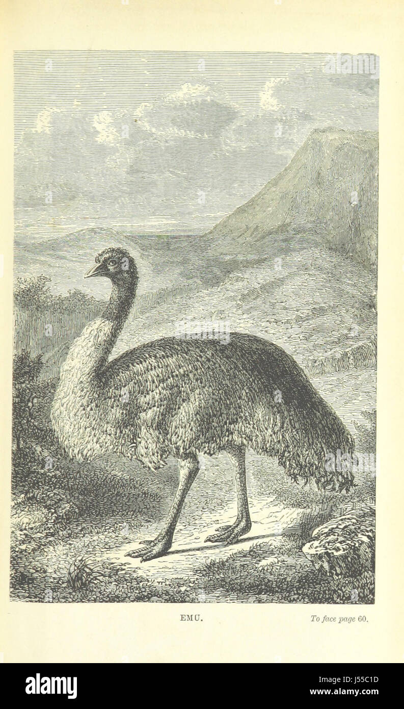Stanford's Compendium of Geography and Travel ... Australasia. Edited ...
