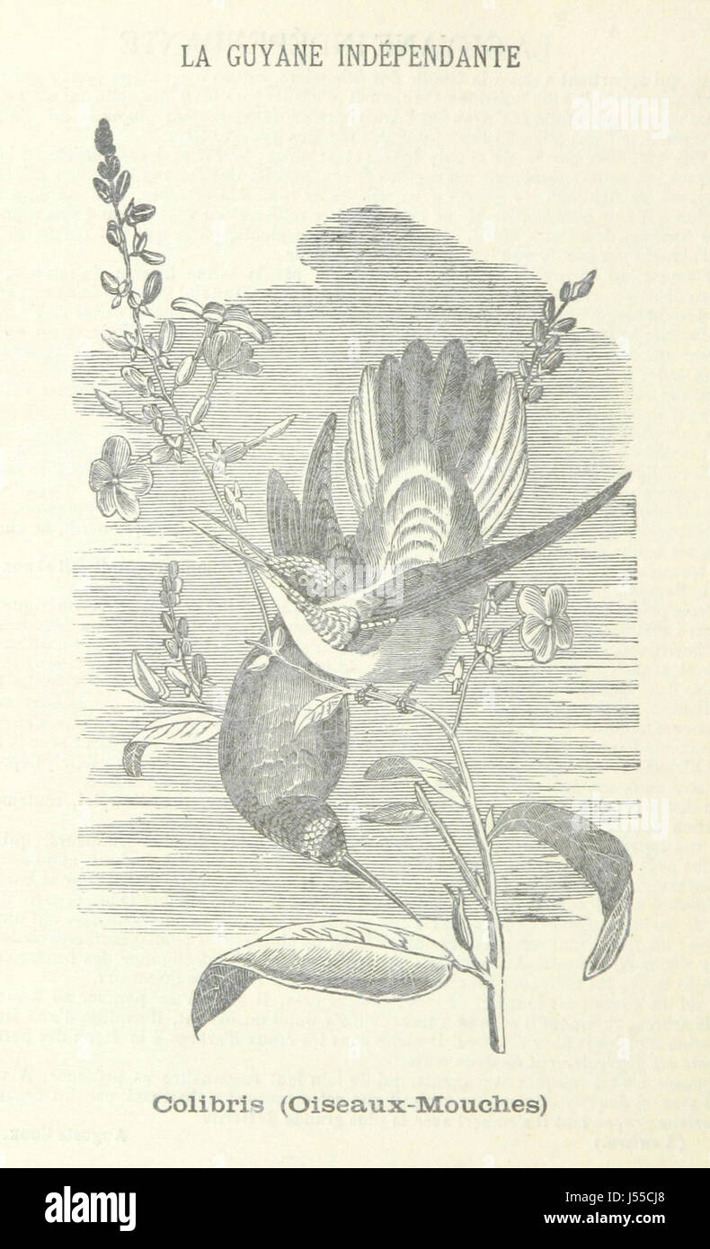 A study of colonialism and the history of French Guiana, presented with ...