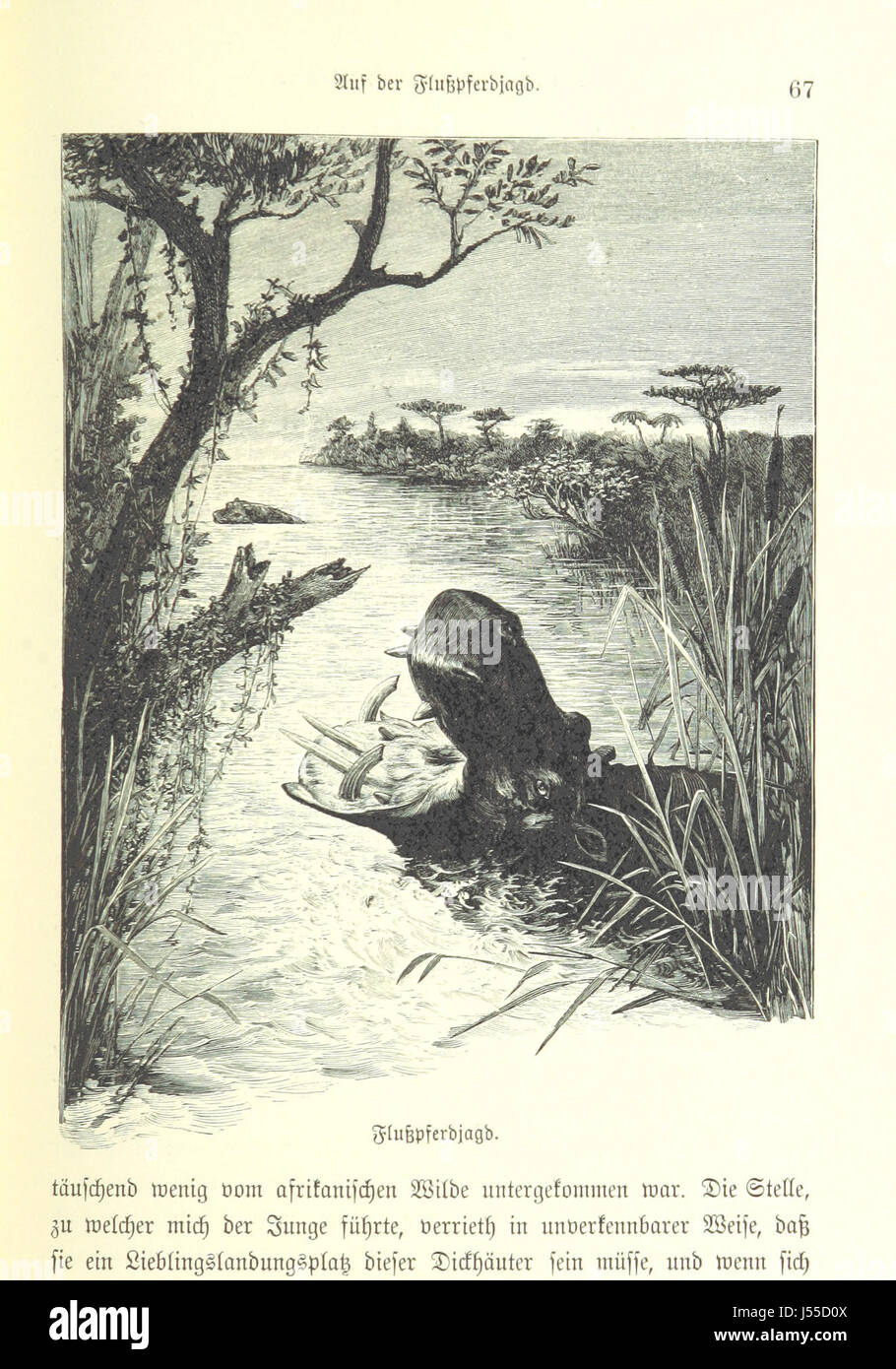 Zum Rudolph-See und Stephanie-See. Die Forschungsreise des Grafen S ...