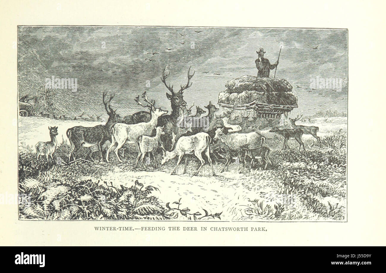 This collection features English artwork created using pen and pencil ...