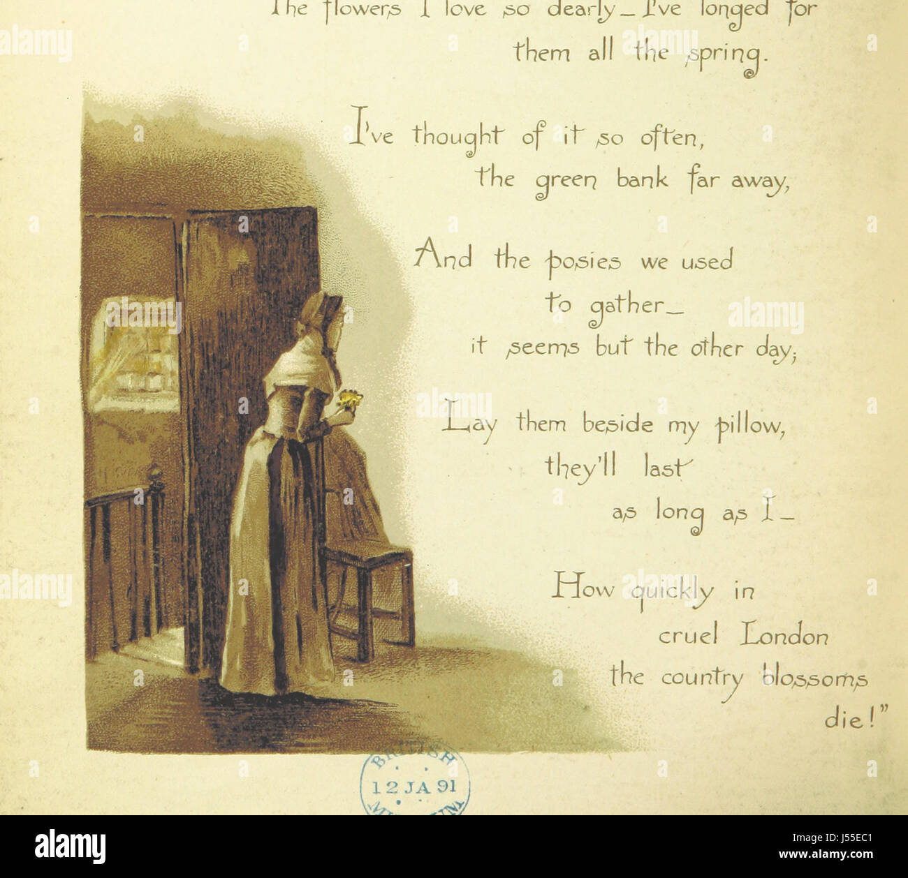 A Bunch of Primroses. [A poem.] ... Illustrated, etc Stock Photo - Alamy