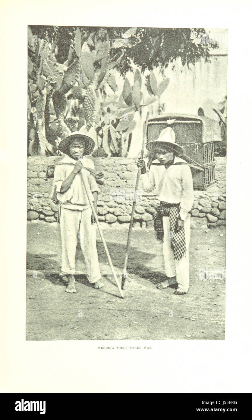 Face to Face with the Mexicans: the domestic life, educational, social ...