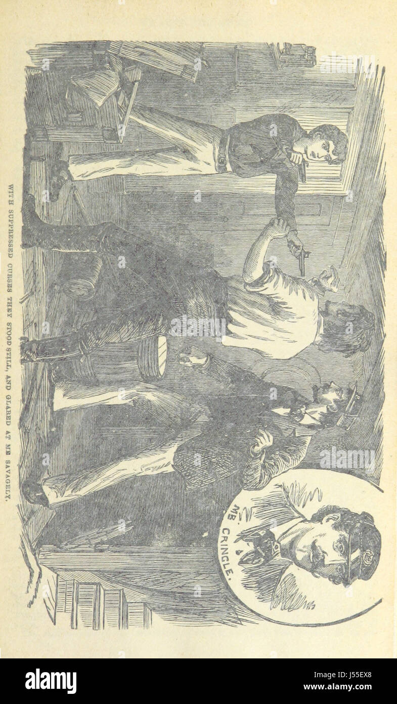 The Aldine “O'er Land and Sea.” Library Stock Photo - Alamy