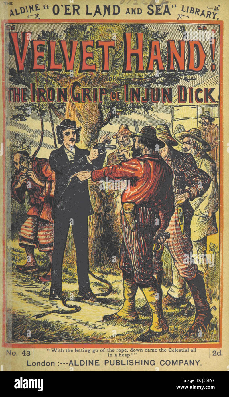 The Aldine “O'er Land and Sea.” Library Stock Photo - Alamy