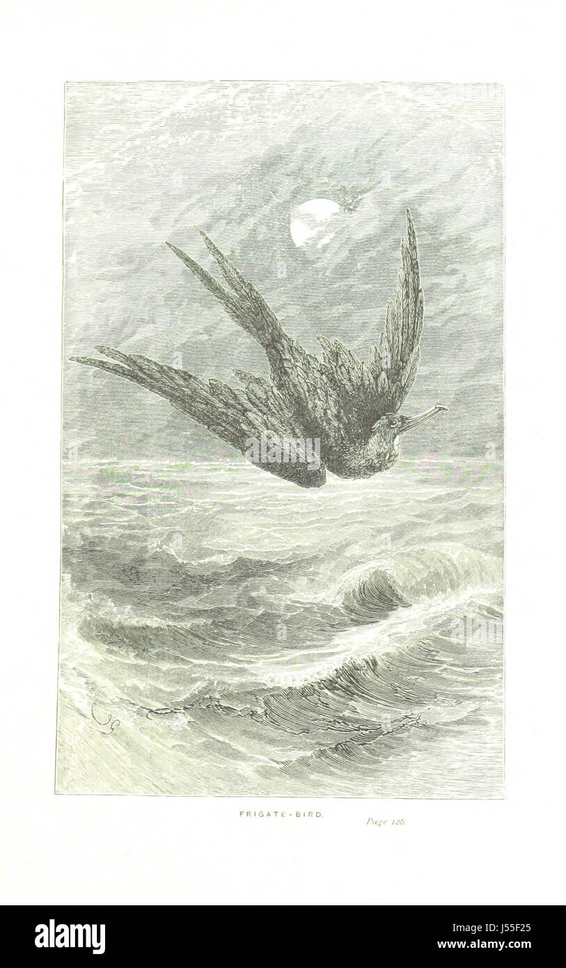 [Wanderings in South America ... With an introduction by Norman Moore ...