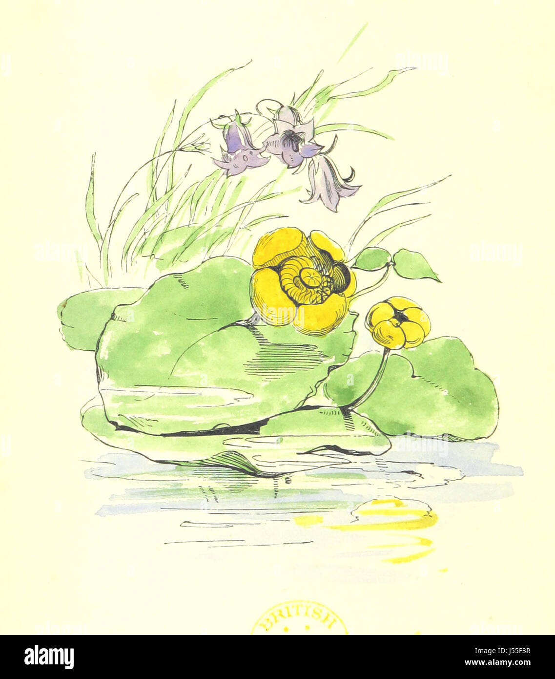 Preserving newspapers hi-res stock photography and images - Alamy