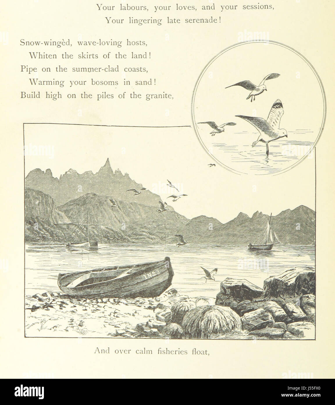 [The Paradise of Birds: an old extravaganza in a modern dress.] Stock ...