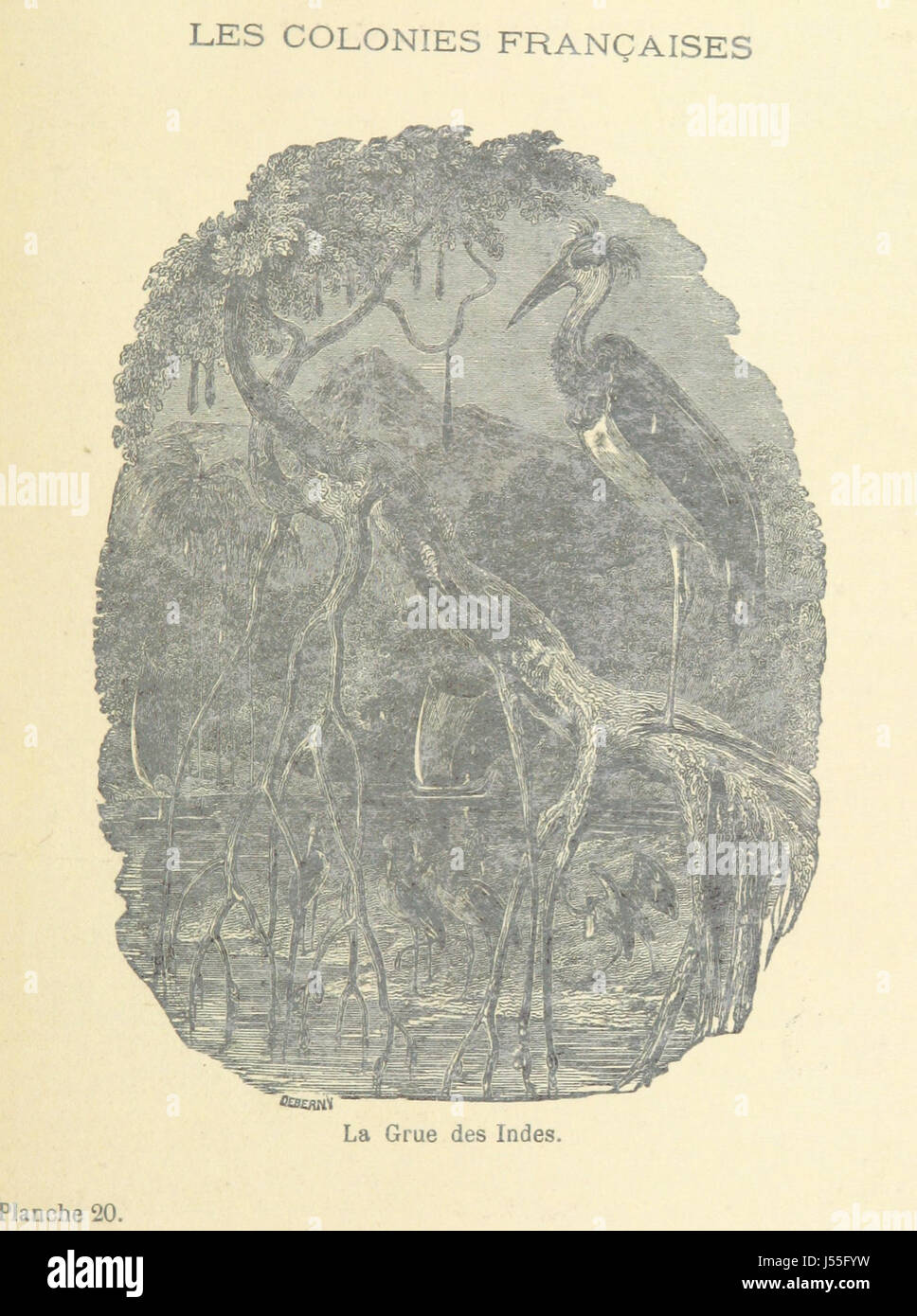 French colonies hi-res stock photography and images - Alamy