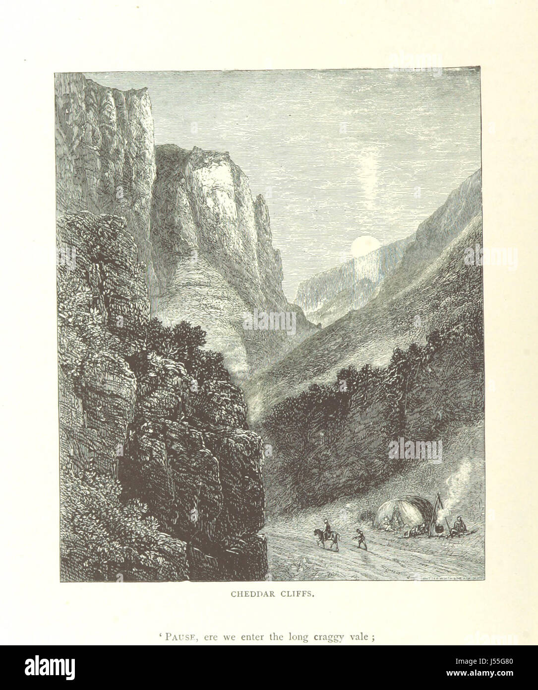 A collection of illustrations created using pen and pencil, showcasing ...