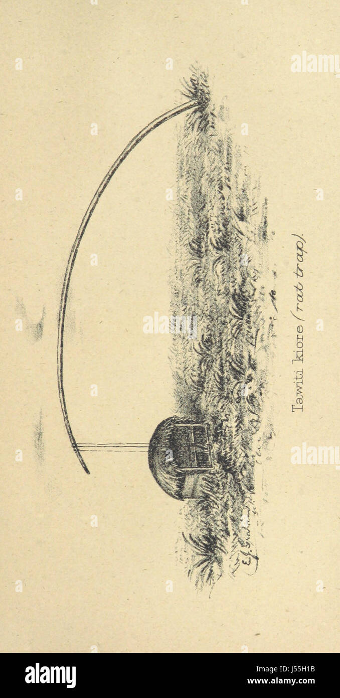 Illustrations prepared for *White's Ancient History of the Maori ...