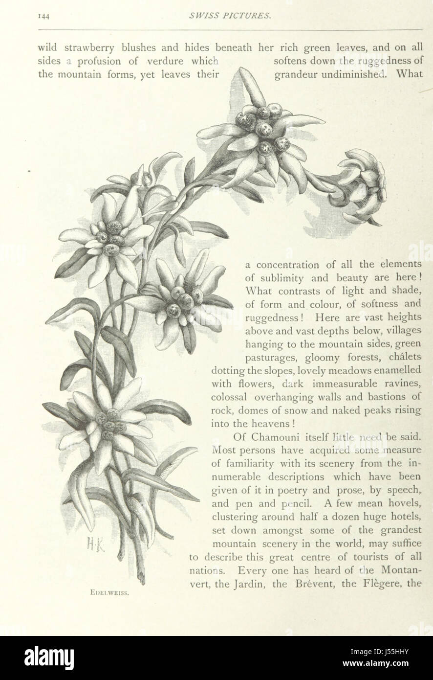 Swiss topographical art hi-res stock photography and images - Alamy