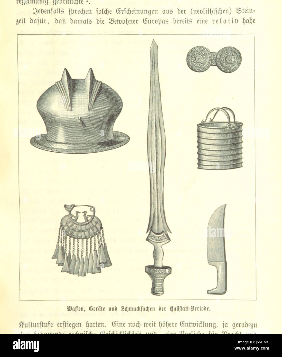 This work examines human evolution, classification, and the origins of ...