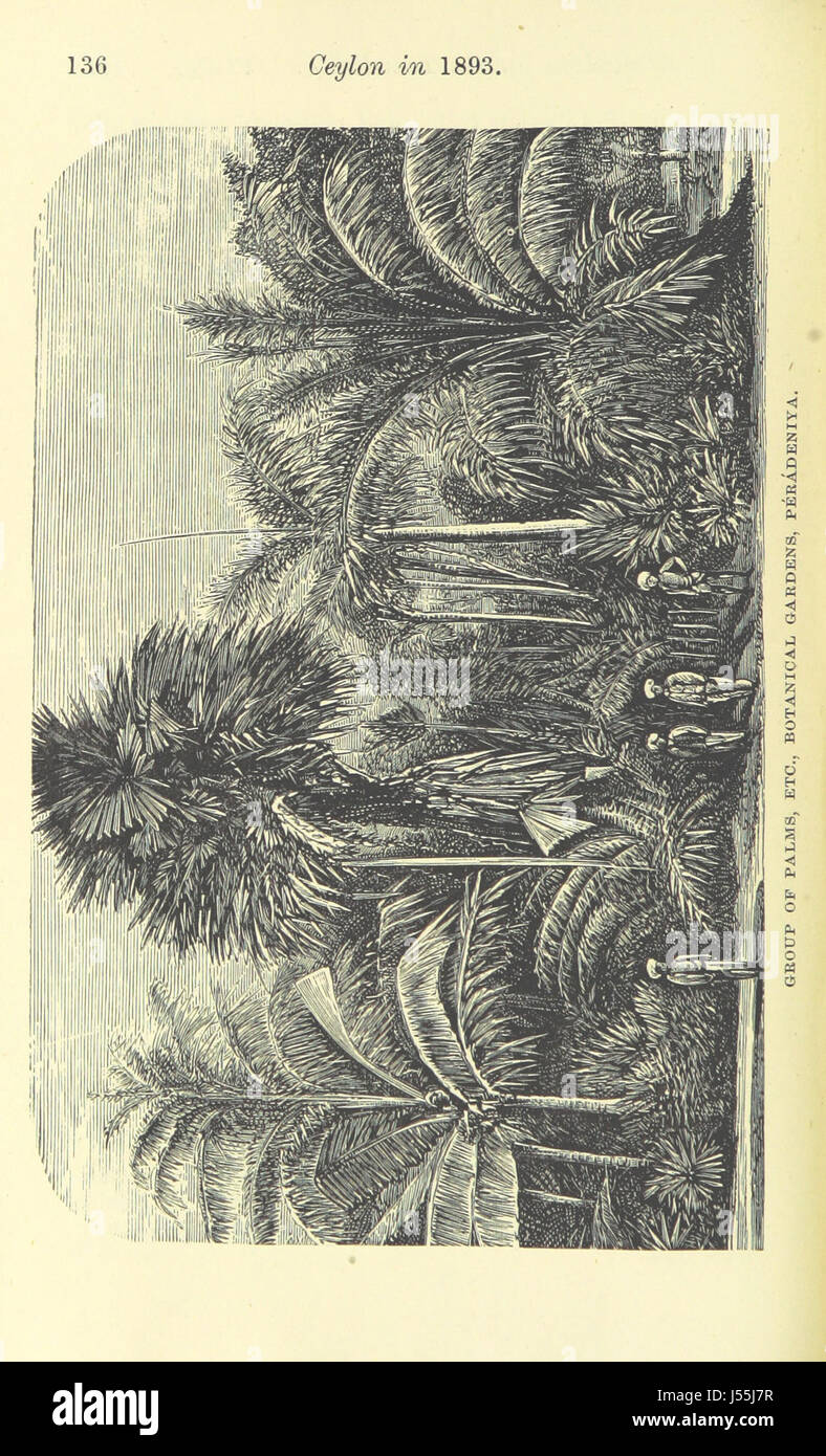 British ceylon hi-res stock photography and images - Alamy