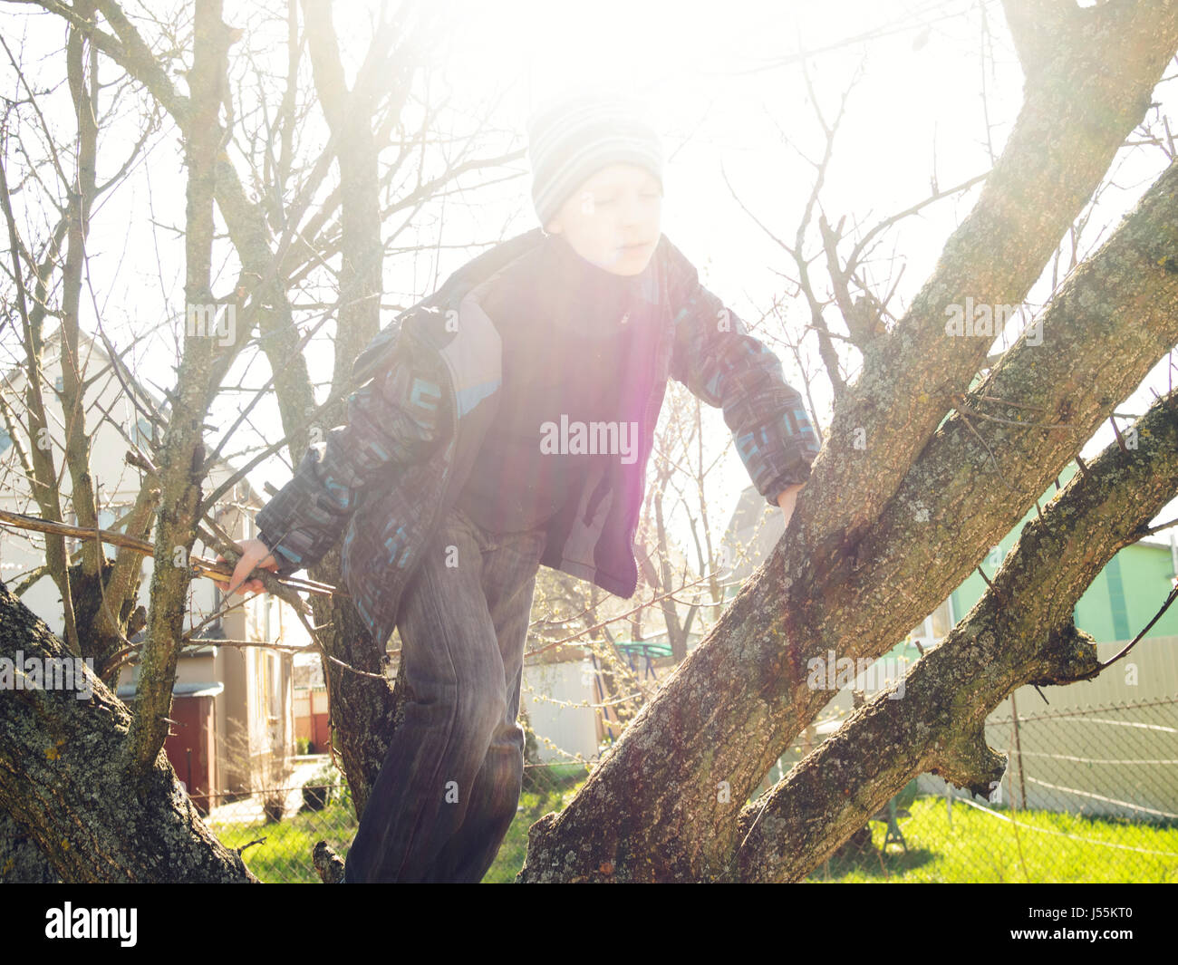 Portrait of cute kid boy sitting on the big old tree on sunny day Stock ...