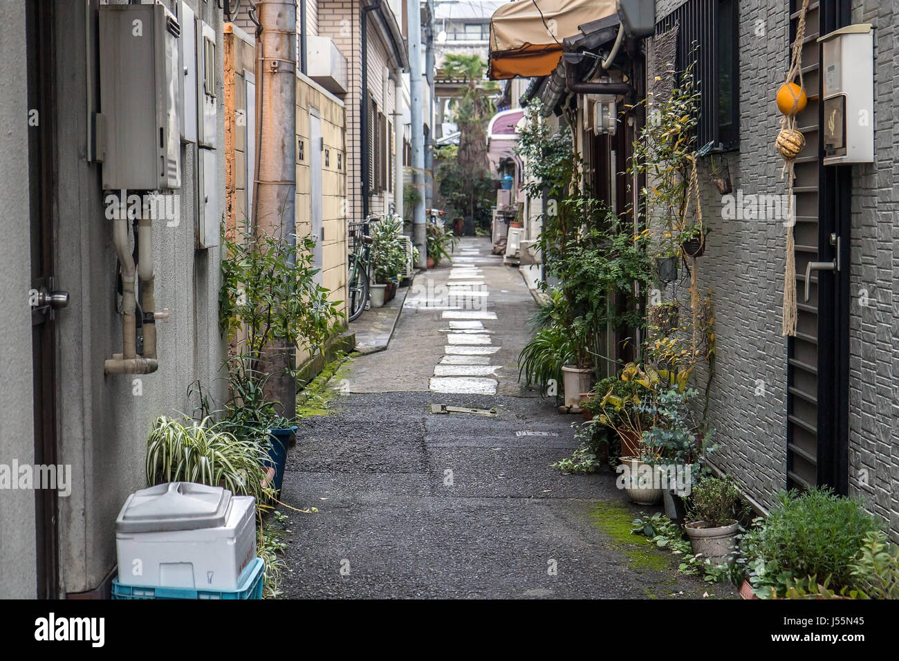 A typical street in the Japanese city Kyoto Stock Photo - Alamy