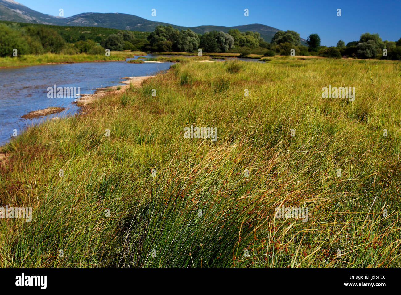 Cetina river in karst hi-res stock photography and images - Alamy