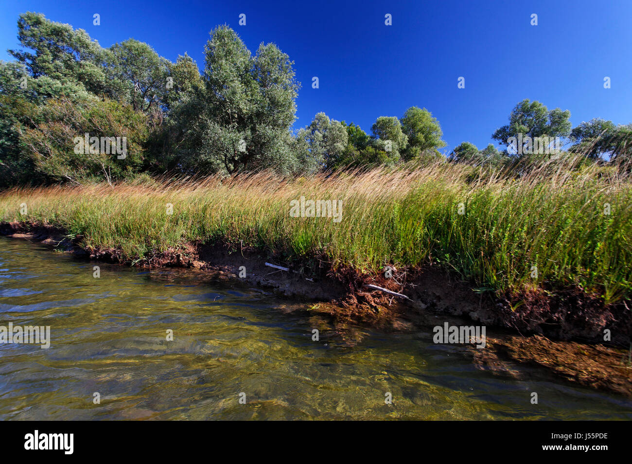 Cetina river in karst hi-res stock photography and images - Alamy