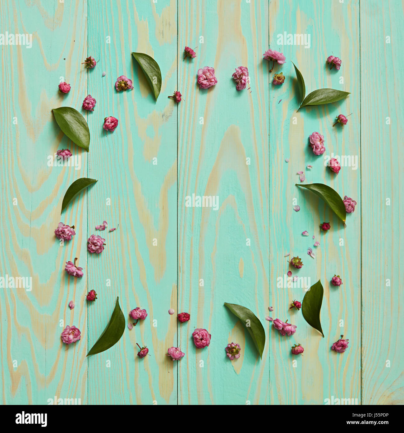 Frame of flowers and leaves Stock Photo - Alamy