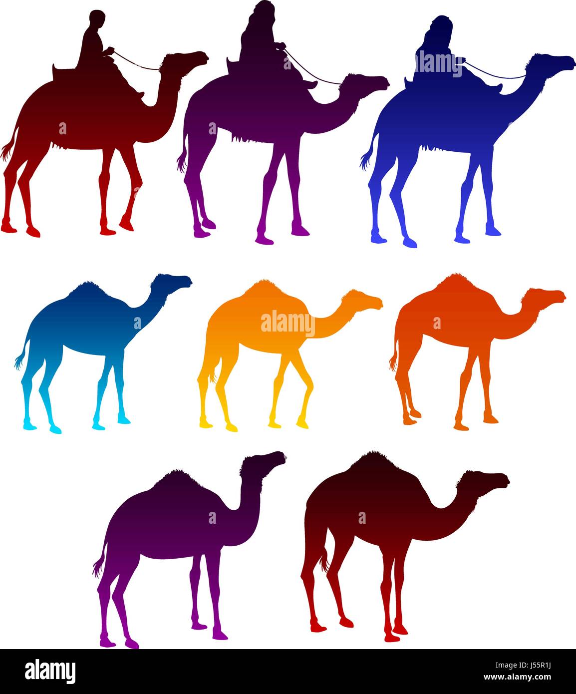 Vector Set of Colorful Camels and Arab Men Riding in Camels Elements ...
