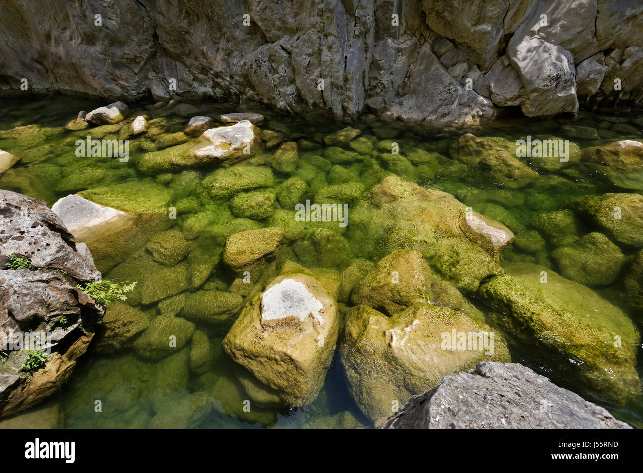 Cetina in canyon Stock Photo - Alamy