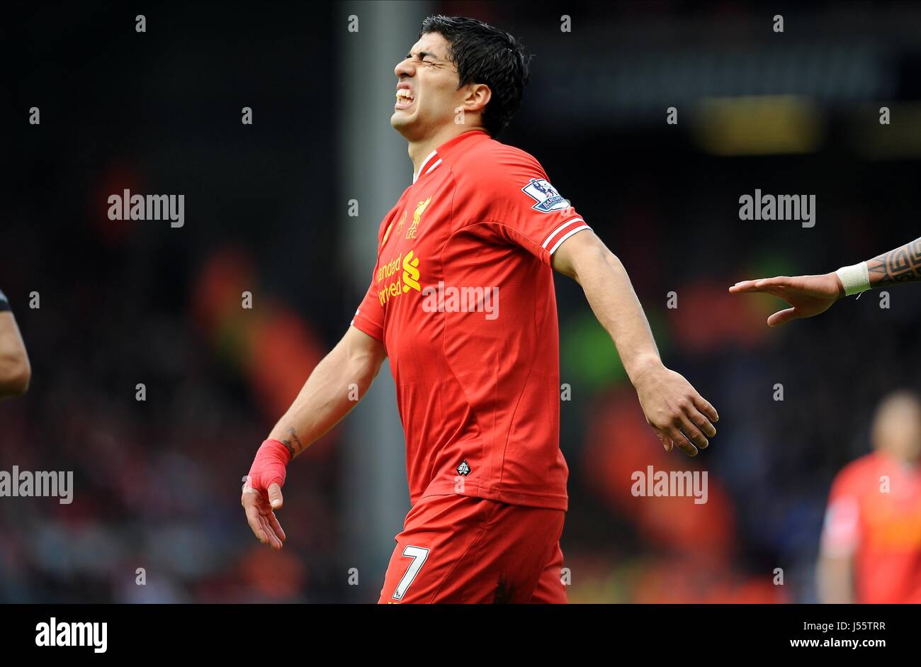 LUIS SUAREZ LIVERPOOL FC V NEWCASTLE UNITE ANFIELD LIVERPOOL ENGLAND 11 ...