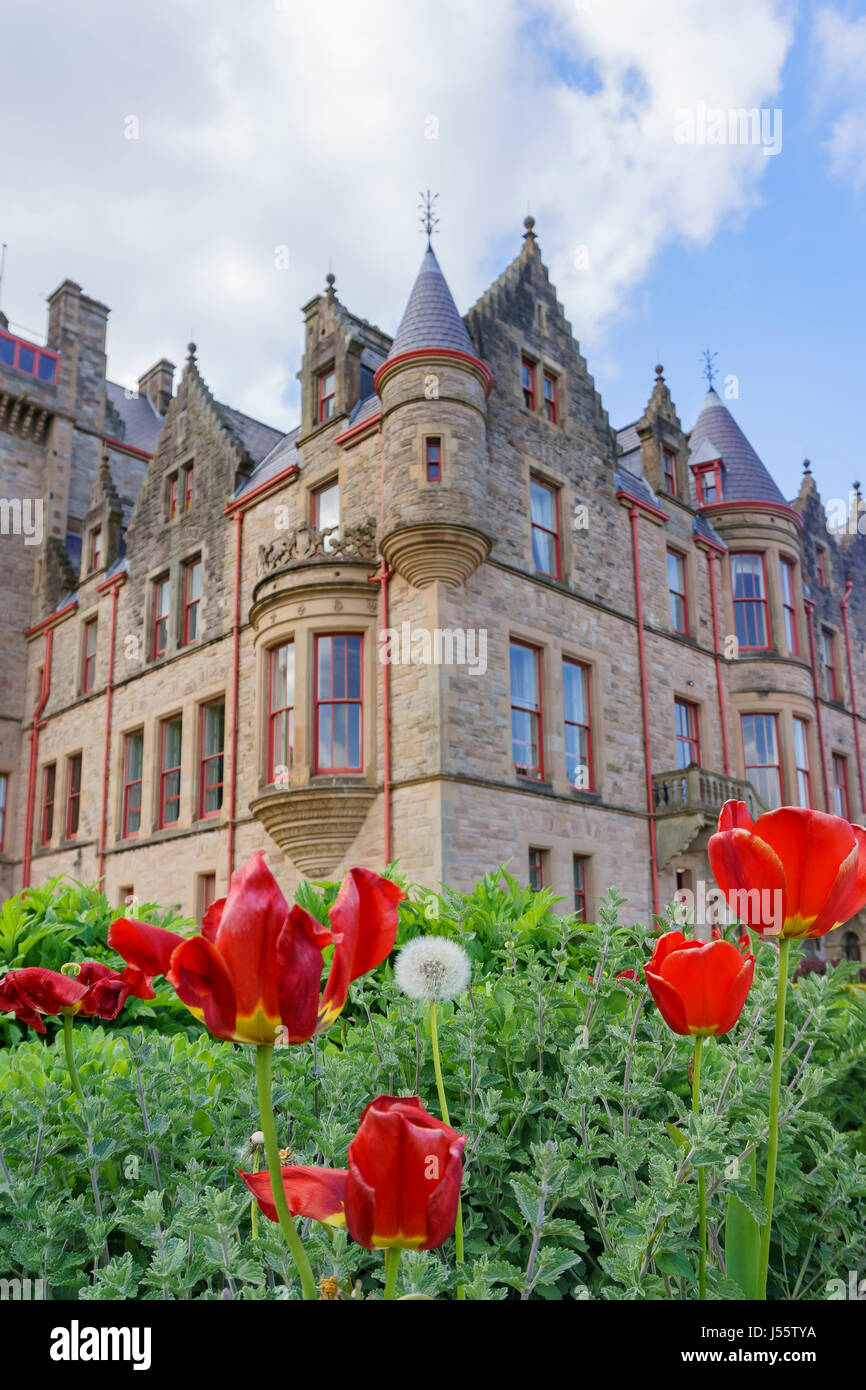 Garden of belfast castle hi-res stock photography and images - Alamy