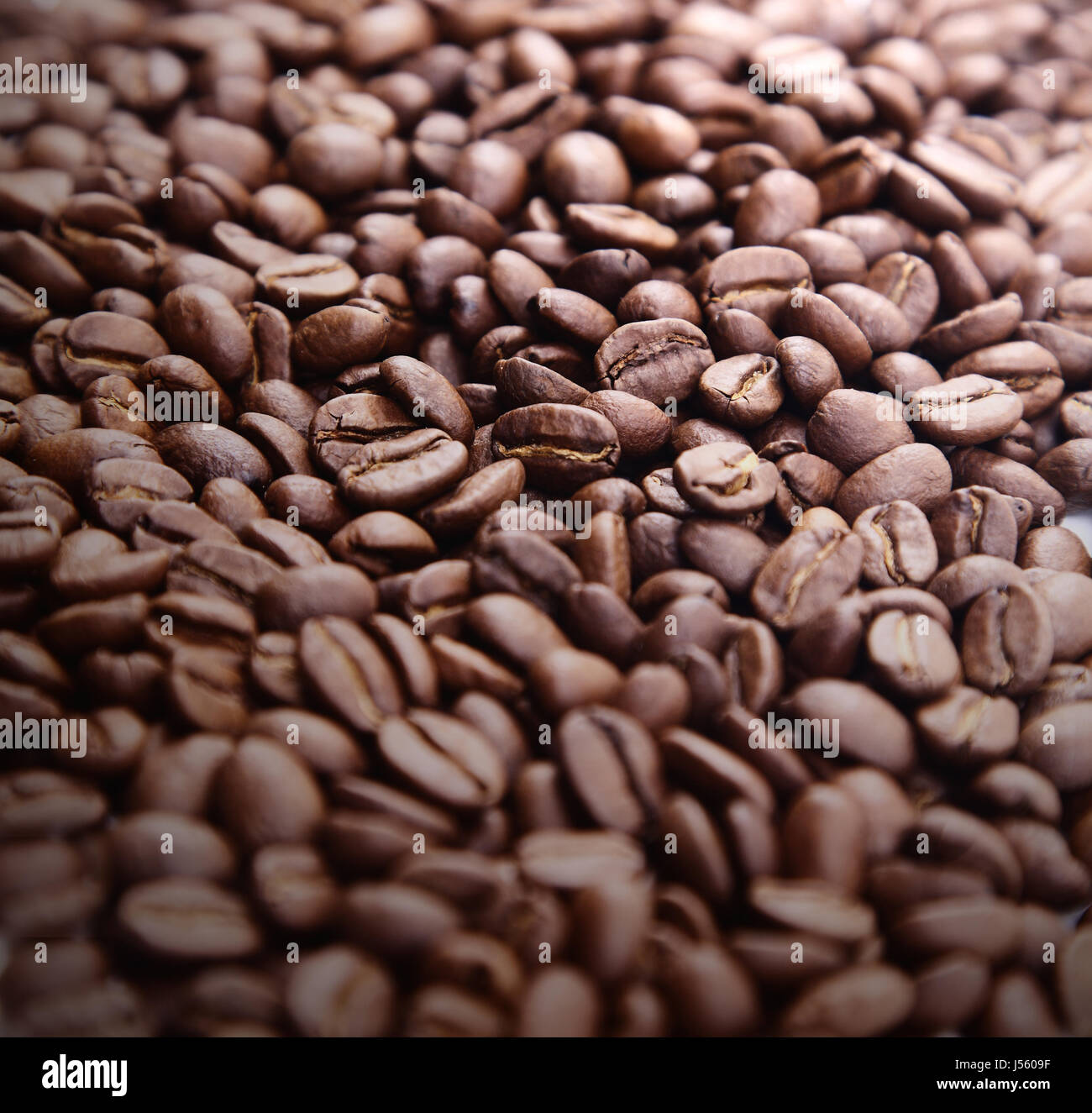 stripe of coffee beans isolated on white Stock Photo - Alamy