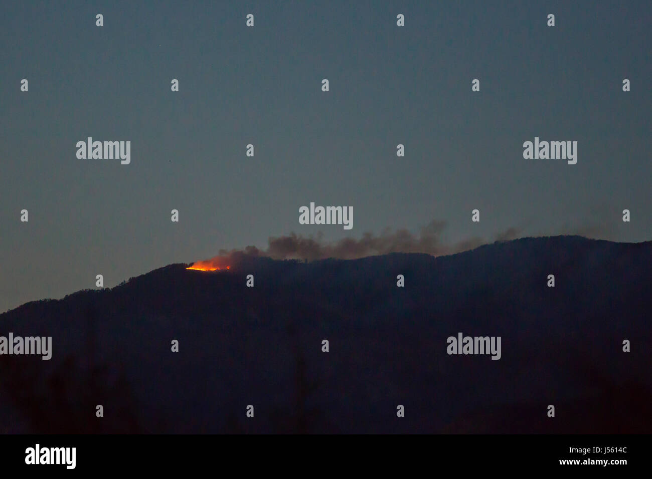 Tucson, Arizona - A forest fire burning on Mt. Lemmon in the Catalina ...