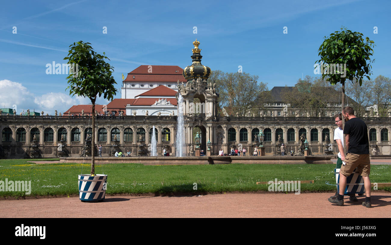 Dresden, Germany. 16th May, 2017. dpatop - Orange trees in the gardens ...