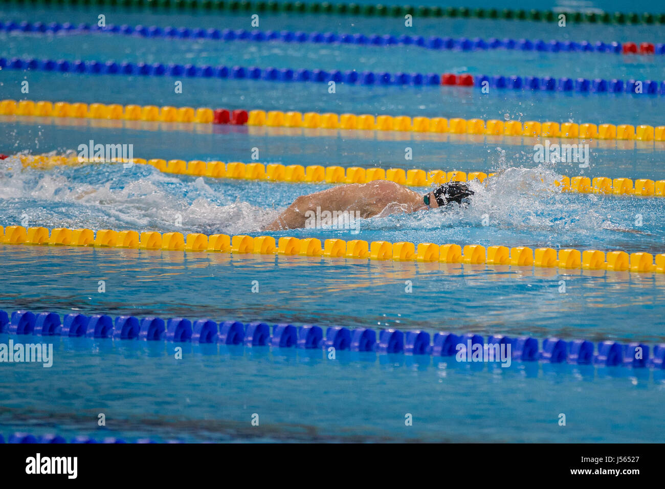 800m Freestyle Men High Resolution Stock Photography and Images - Alamy