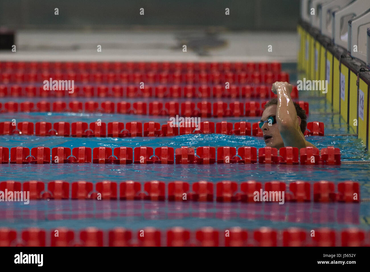 800m freestyle men hi-res stock photography and images - Alamy