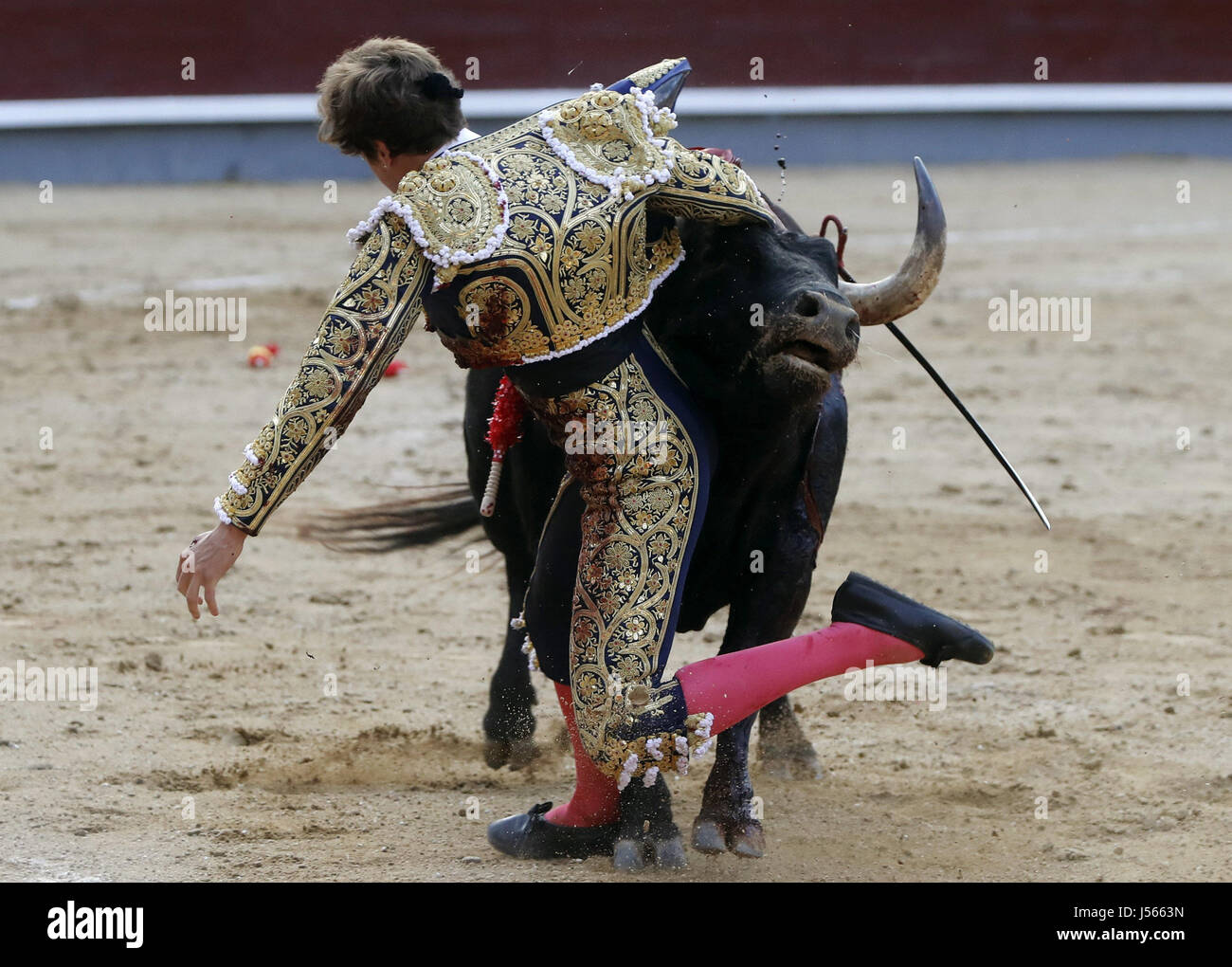 Bullfighter Gored Stock Photos & Bullfighter Gored Stock Images - Alamy