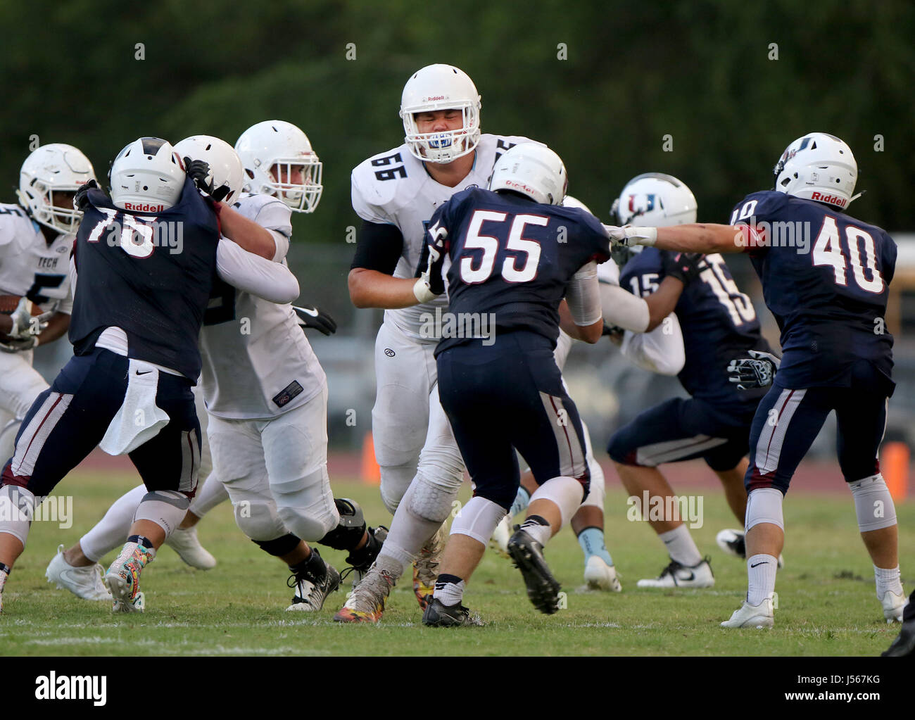 Palm Harbor, Florida, USA. 16th May, 2017. DOUGLAS R. CLIFFORD | Times ...