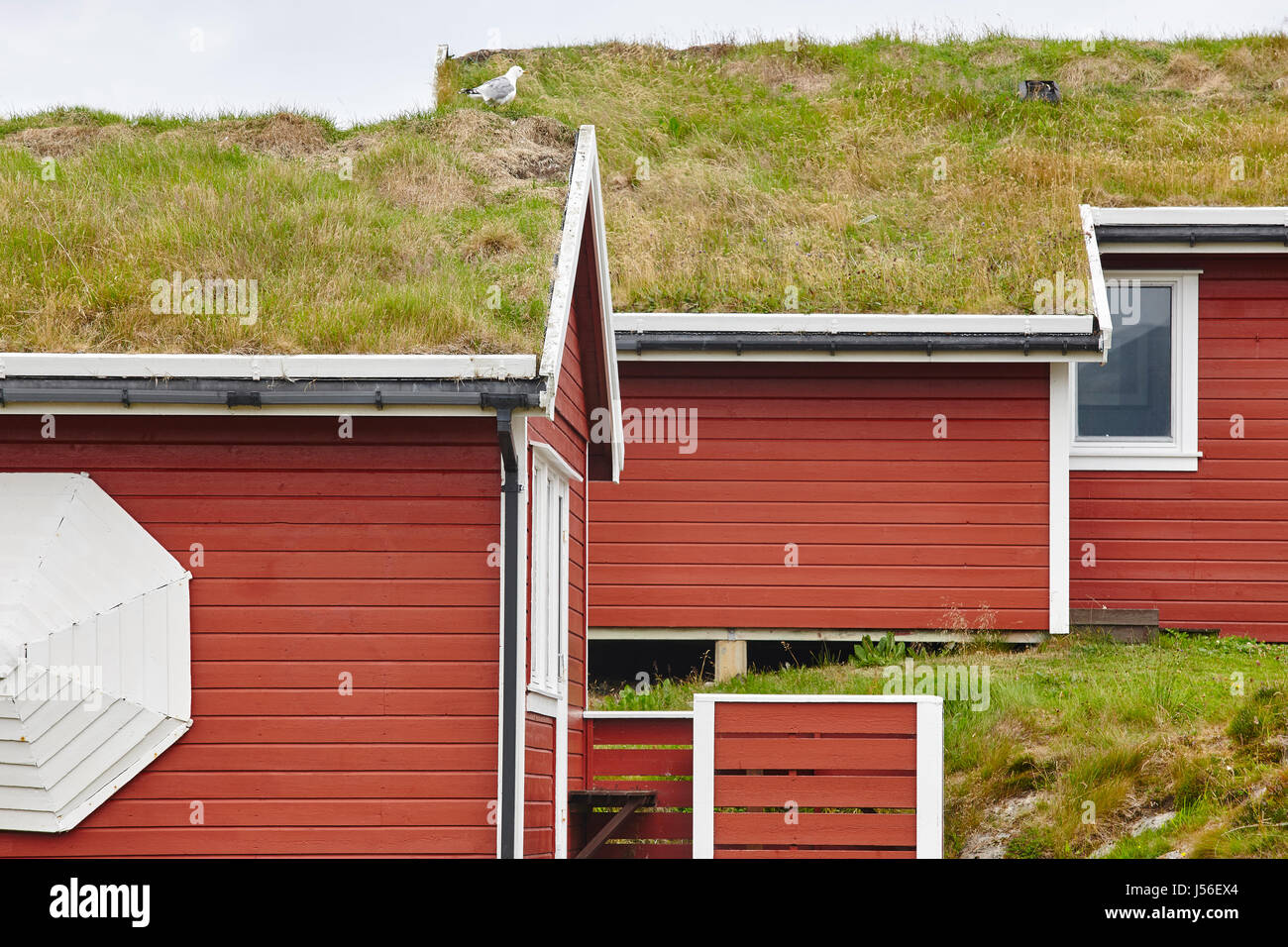 Traditional red wooden norwegian cabins with ground on the roof ...