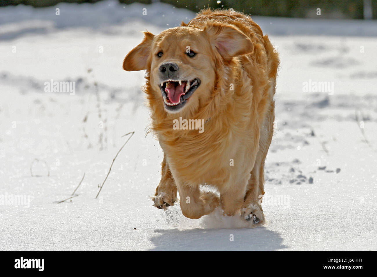 Oldig hi-res stock photography and images - Alamy