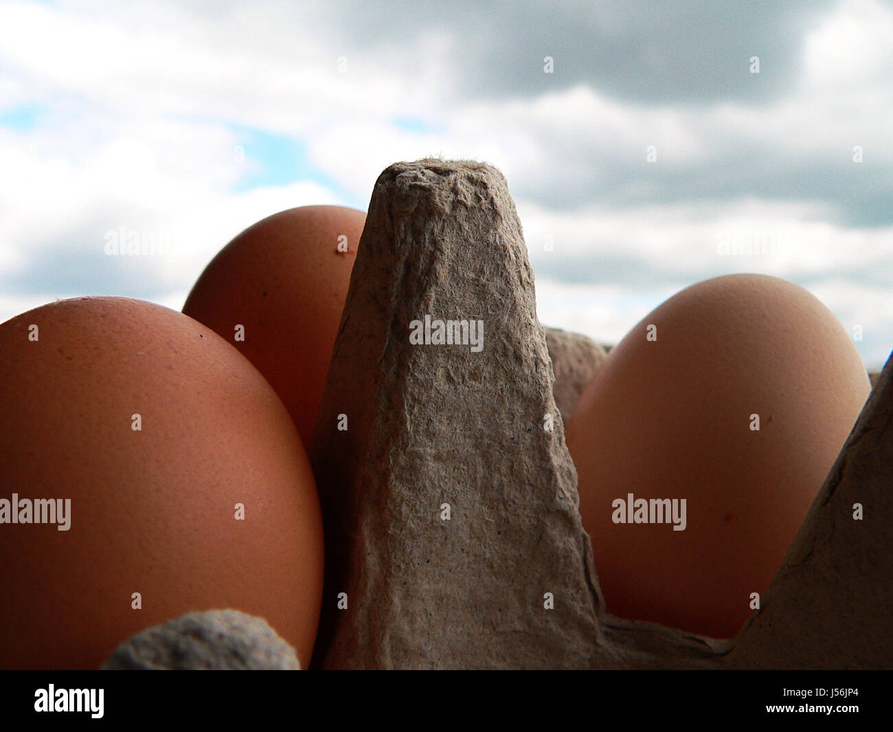 closeup sculpture pillar monumental egg experimental eggs firmament sky ...