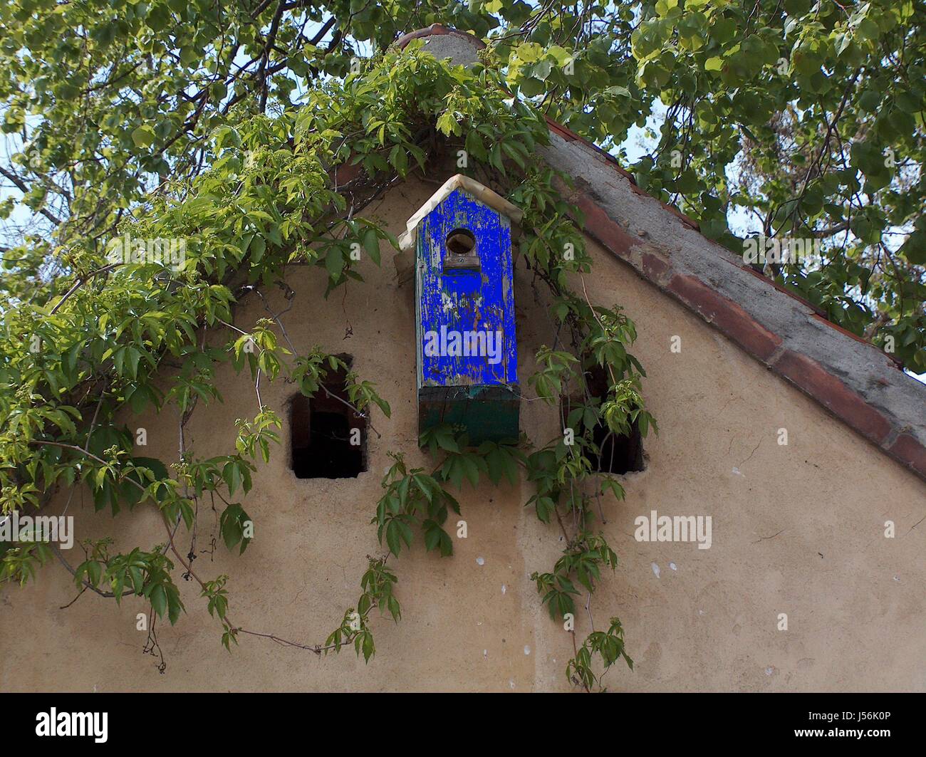 Aviary building hi-res stock photography and images - Alamy