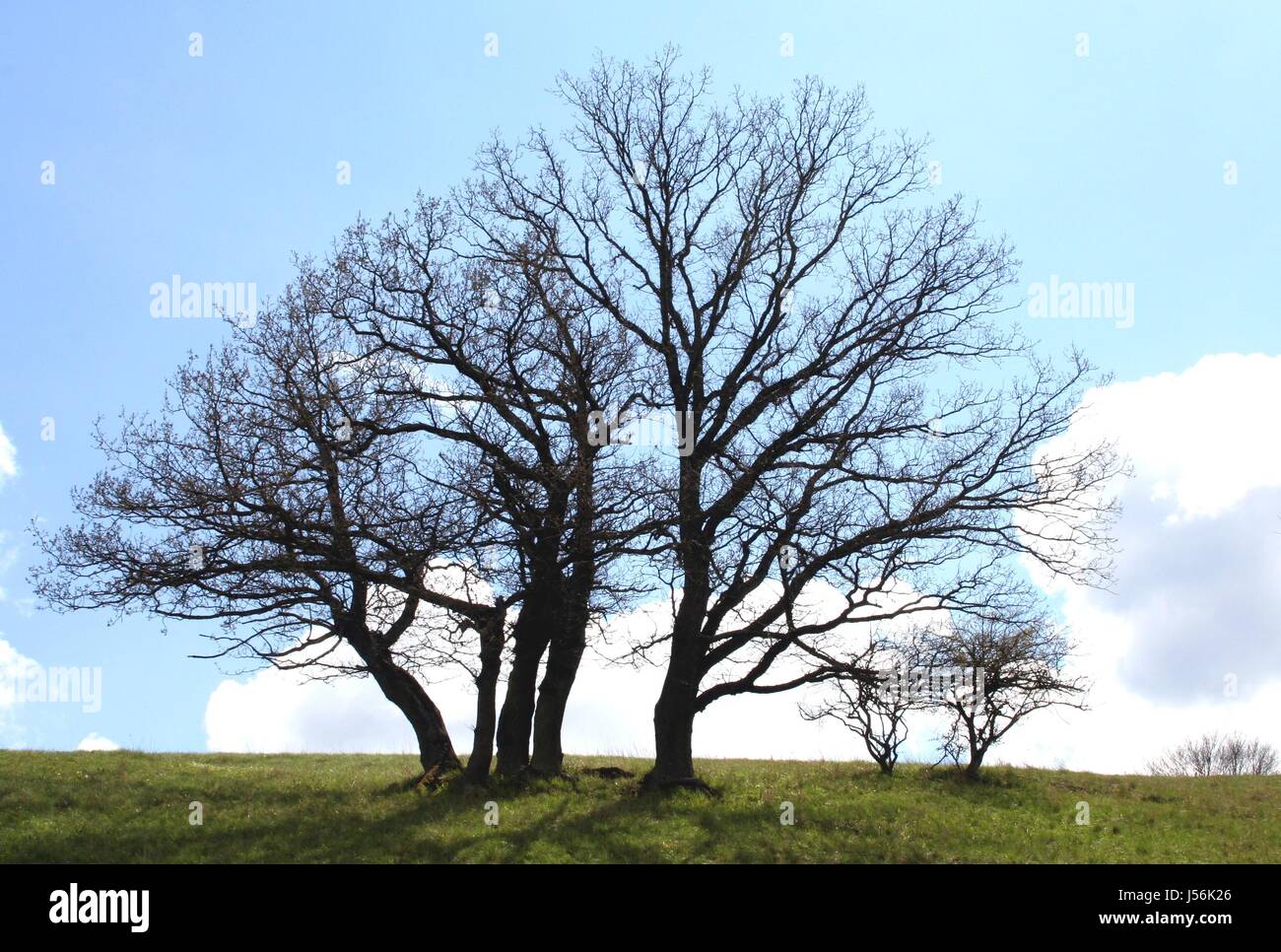 Resin clump hi-res stock photography and images - Alamy