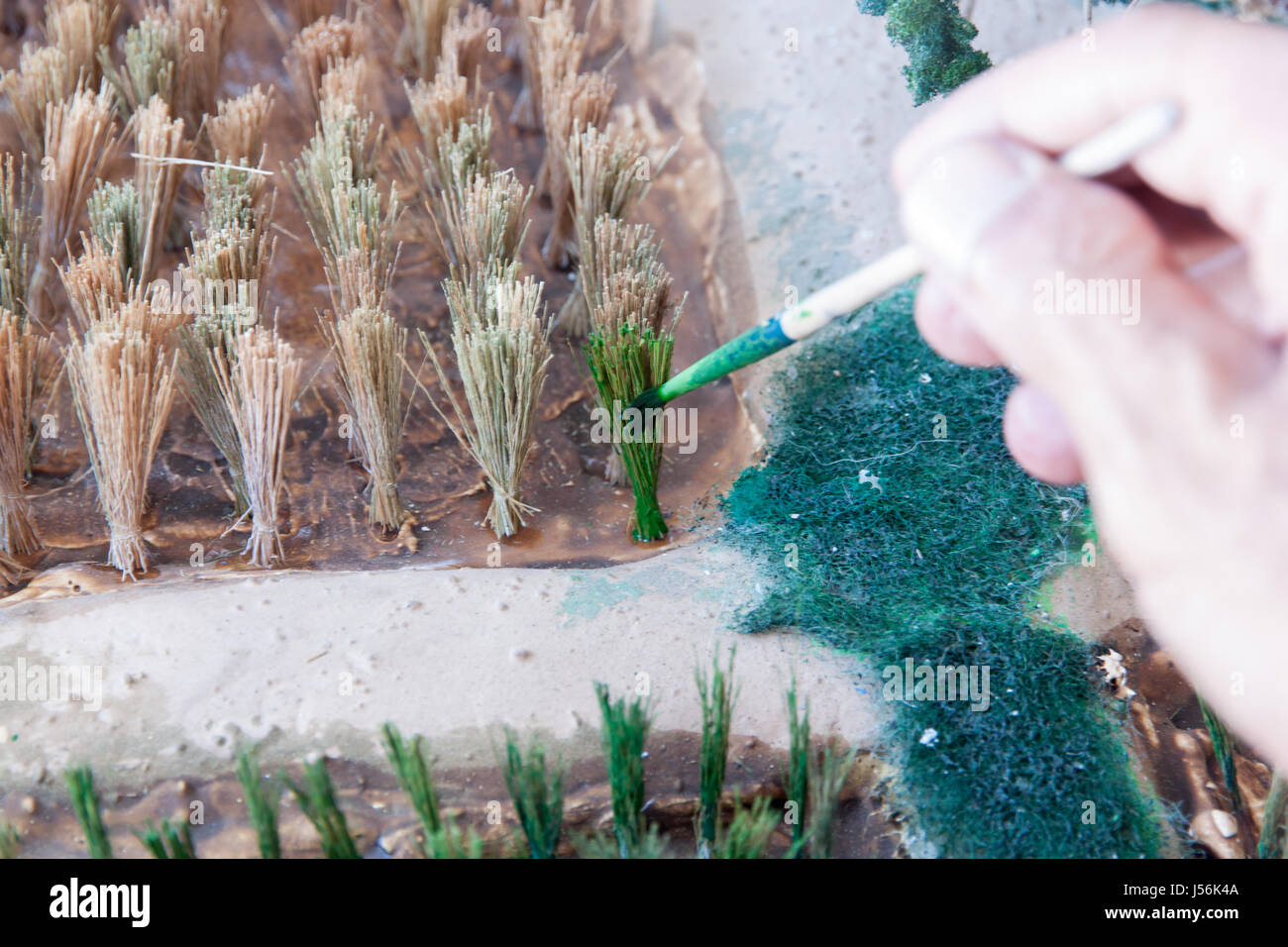 Painted color the make a planting rice model. Modeling Rice and make my ...