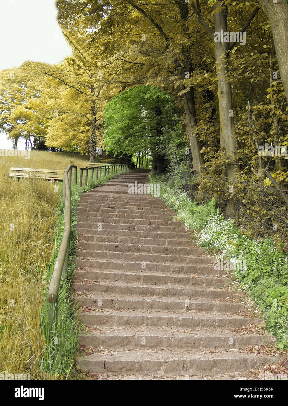 the green trail Stock Photo - Alamy
