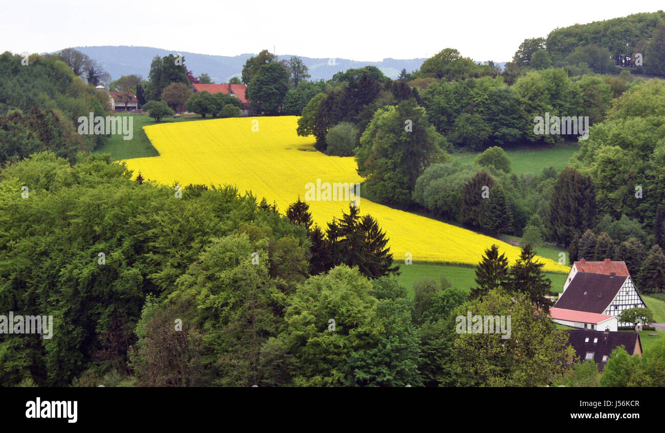 Embedded trees hi-res stock photography and images - Alamy