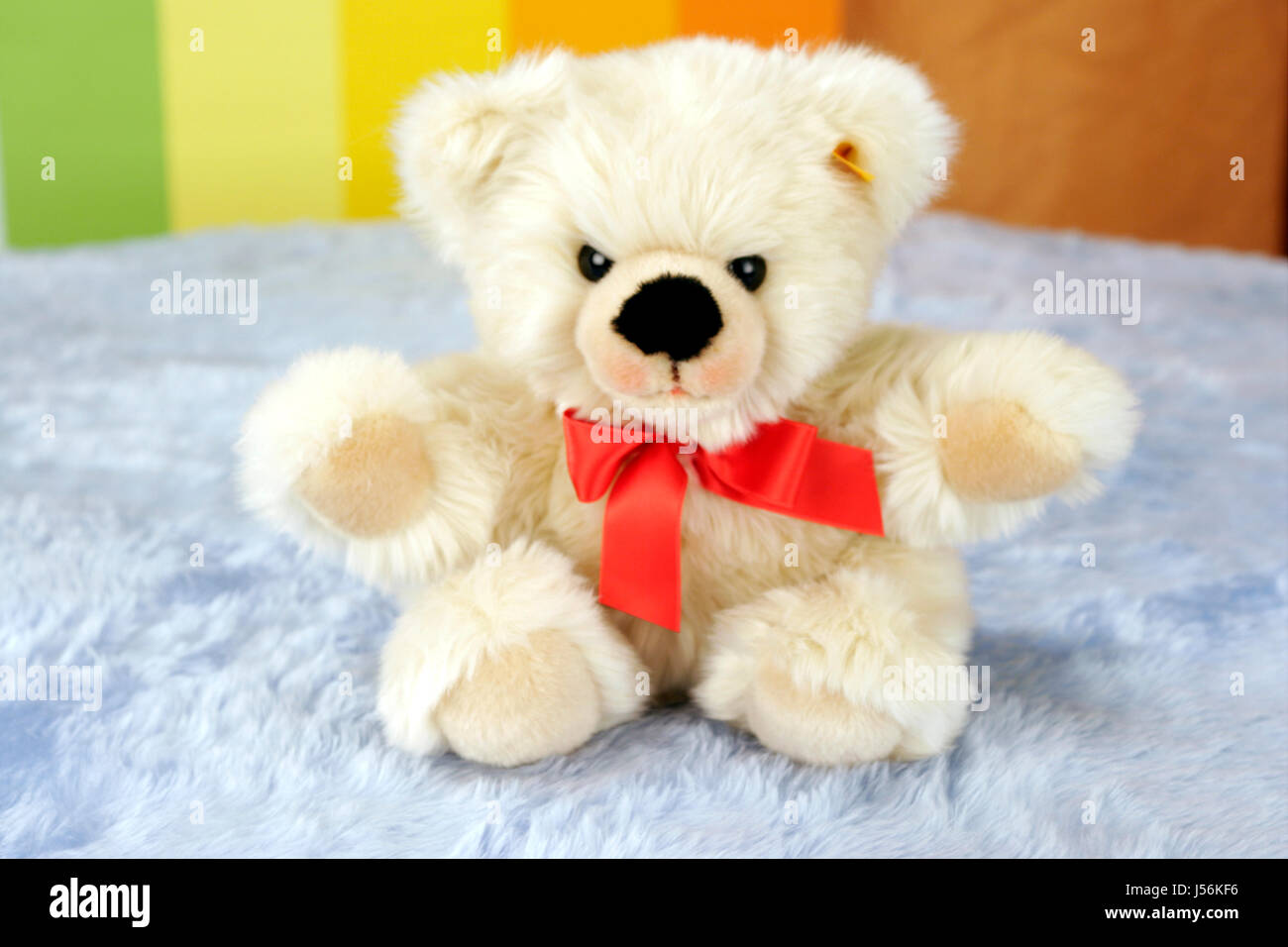 coloured colourful gorgeous multifarious richly coloured toy teddy ...
